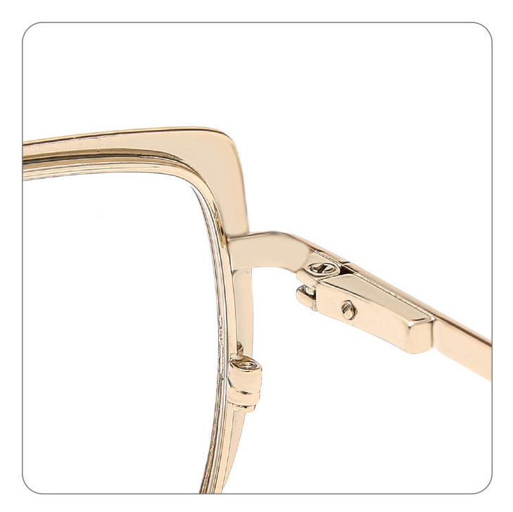 China Metal Photo Frame Designer Optical Frame Models Eyeglasses Frames ...